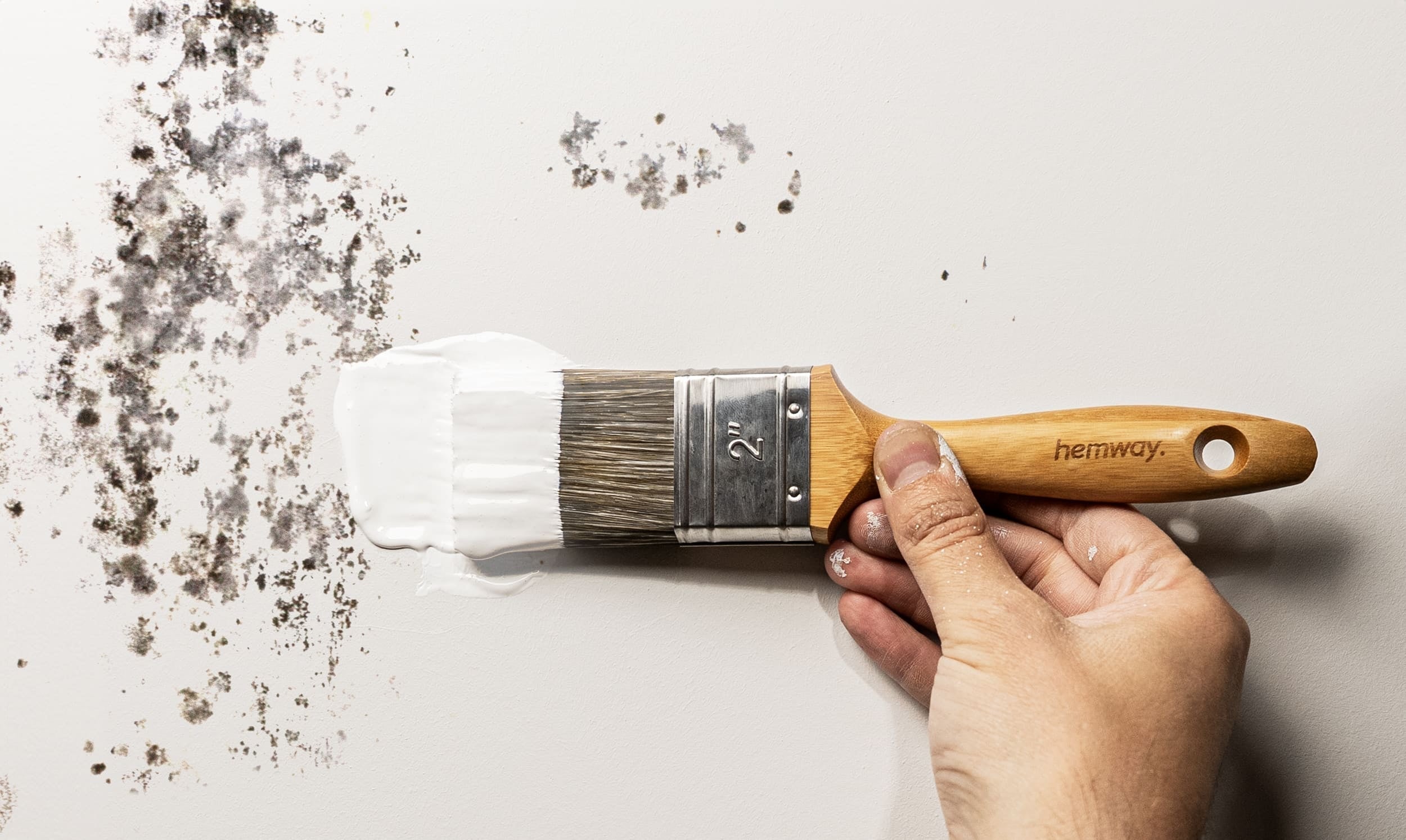 Mould Blocker Paint for a Healthier Indoor Space | Blog | Hemway